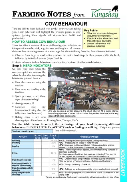 Cardiovascular system of goat | DOCX | Heart and Cardiovascular ...