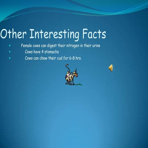Chicken facts | PPTX