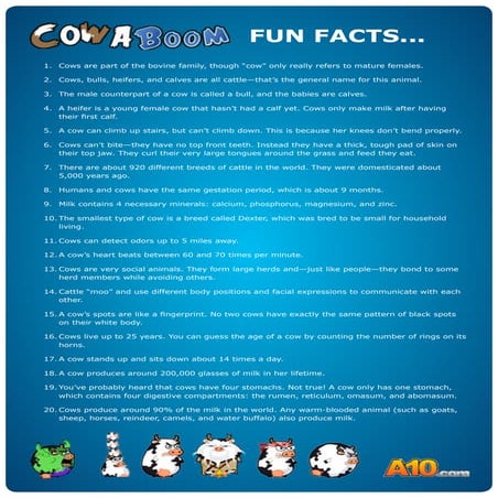 Cow Fun Facts | PDF