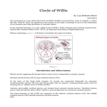 Circle of willis | PDF