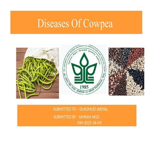 Cowpea.................................. | PPTX