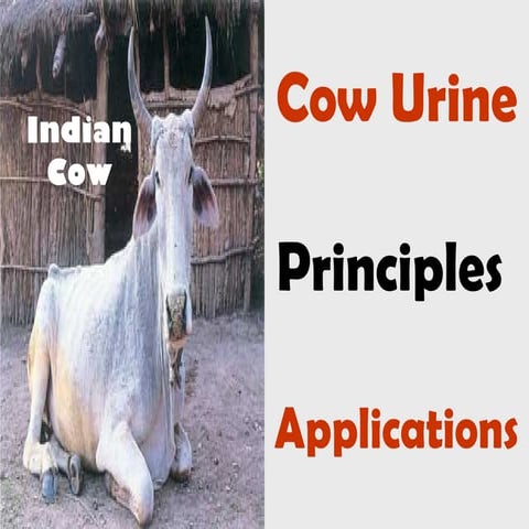Cow products | PPT | Chemistry | Science