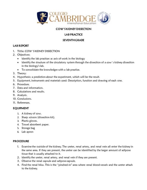 Dna from a banana lab report | PDF