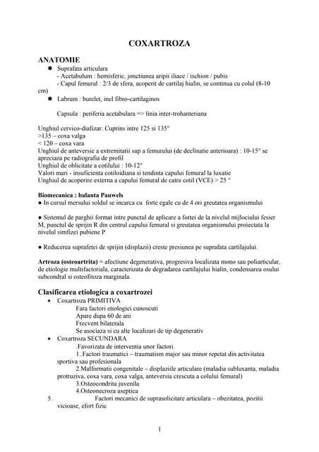 Spatele plan pdf