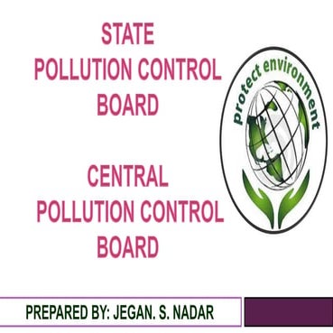 Central Pollution Control Board and State Pollution Control Board | PDF
