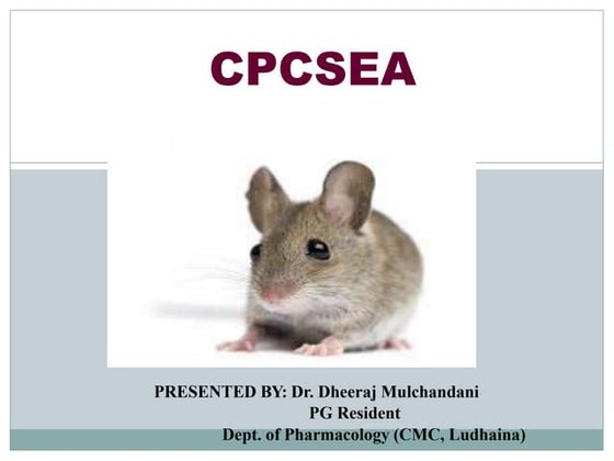 CPCSEA guidelines ppt | PPTX | Infectious Diseases | Diseases and Conditions