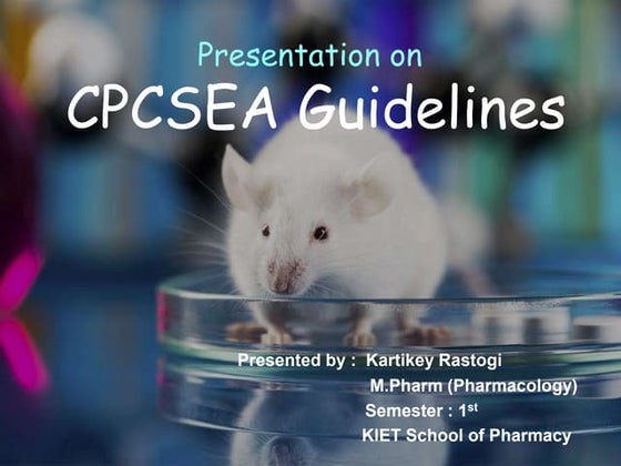 CPCSEA Guidelines | PPT | Infectious Diseases | Diseases and Conditions