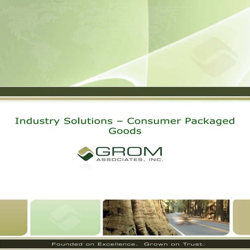 SAP -CPG Industry Solutions | PDF
