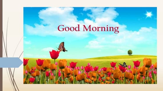 MLHP Roles and Responsibilities | PPT