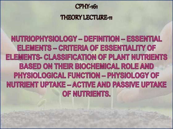Mechanism of nutrient uptake in plants | PPTX | Chemistry | Science