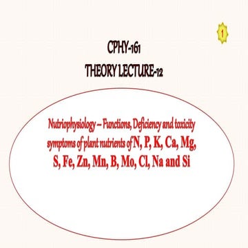 NUTRIOPHYSIOLOGY | PPTX | Nutrition | Healthy Living