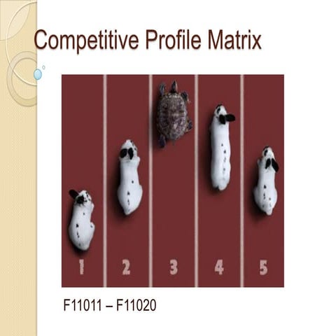 Cpm Matrix Pptx