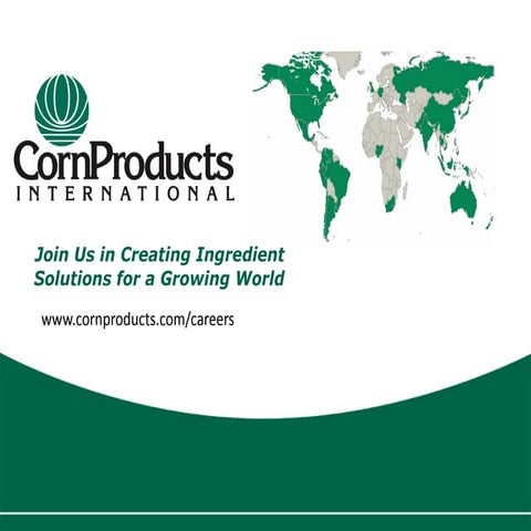 CPO Overview Presentation | PPT