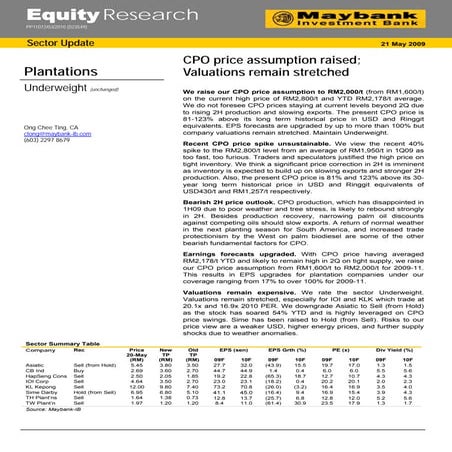 Cpo Price Assumption Raised | PDF
