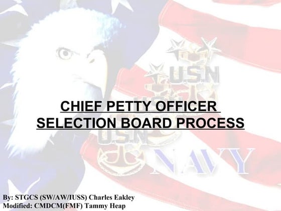 CPO Selection Board Brief 2012 (FY2013) | PPT