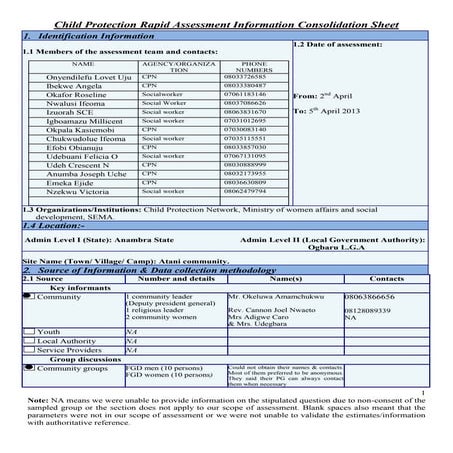 Child Protection Rapid Assessment Information Consolidation Sheet | PDF
