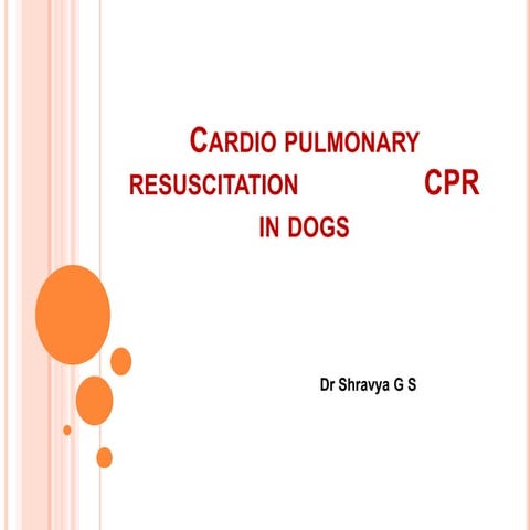 CPR for Dogs - essential first aid in canine emergency | PPTX