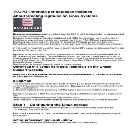 ♨️CPU limitation per Oracle database instance | PDF