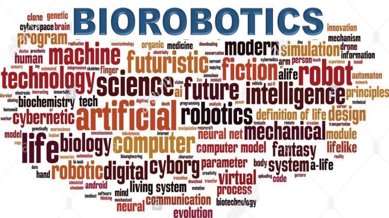 Biorobotics