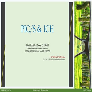PICS-ICH | PPT