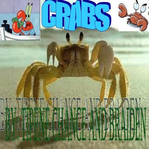 Crabs | PPT