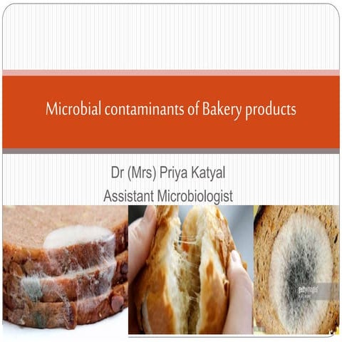 Craft baker course | PPTX