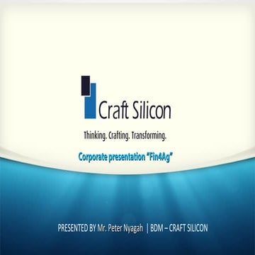 Craft silicon | PPT