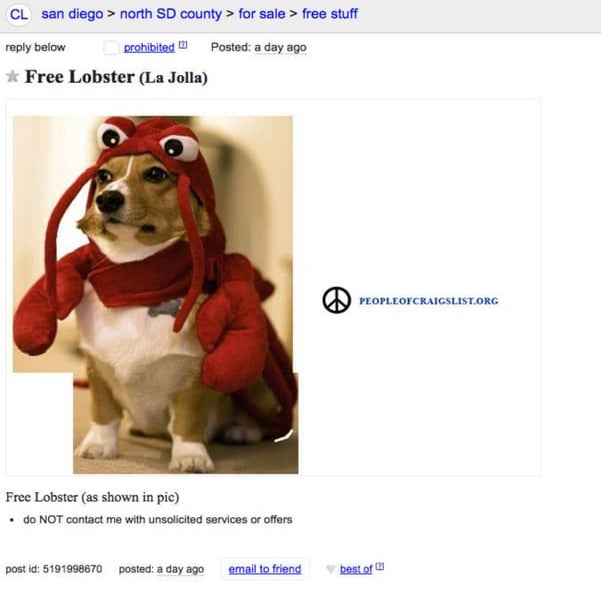 Craigslist Lobster Doge | PDF