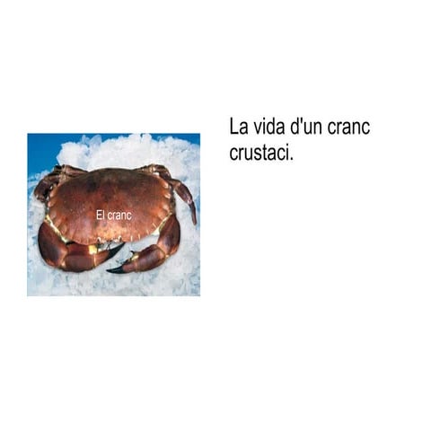 Cranc | ODP