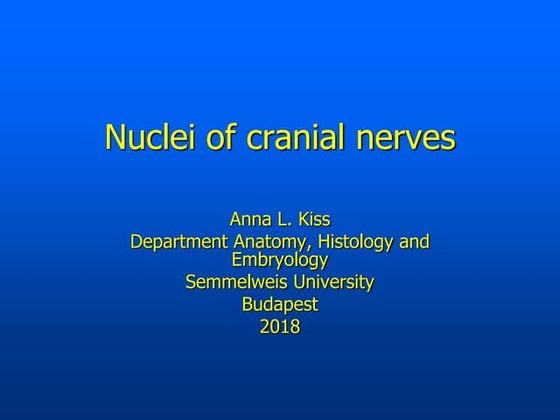 Anatomy cranial nerves | PDF
