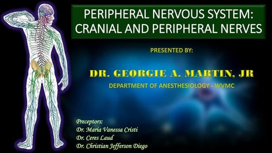 Trigeminal nerve | PDF