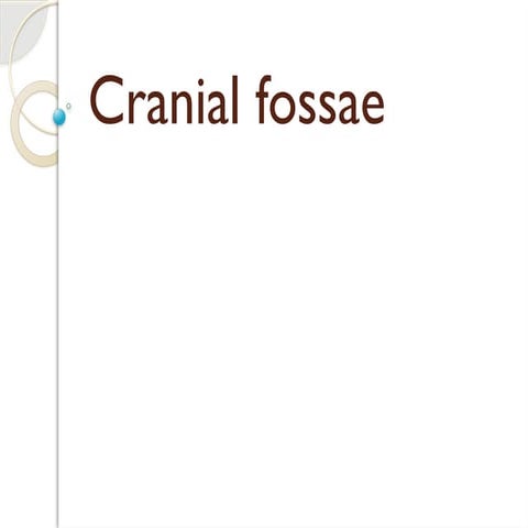 Anterior cranial-fossa | PPT