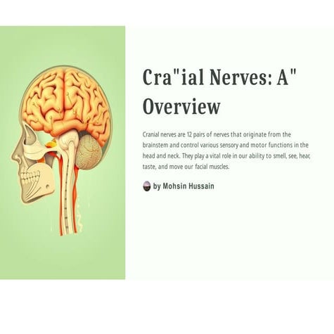 cranial nerve full description with examples.pptx