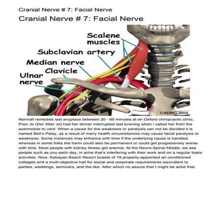Cranial Nerve # 7: Facial Nerve | PDF
