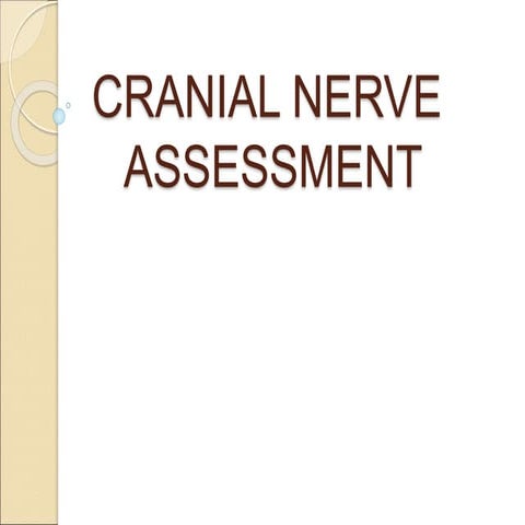 CRANIAL NERVE ASSESSMENT final.ppt