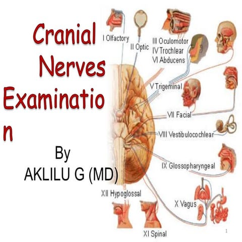 Cranial nerve examination.pptx
