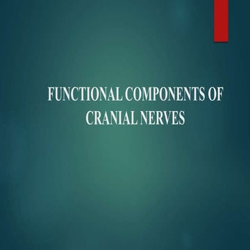 Cranial nerve I,II,III & IV pathway and injury.pptx