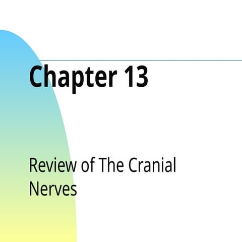 12 Cranial_Nerve_Review, human anatomy.ppt