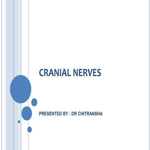 Ppt Chapter 15 Cranial Nerves Powerpoint Presentation Visual System: