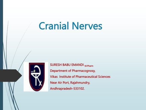 Ppt Chapter 15 Cranial Nerves Powerpoint Presentation Visual System: