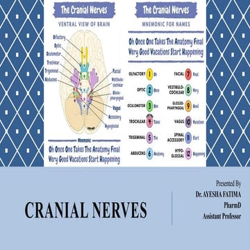 Cranial Nerves - List out cranial nerves.pptx
