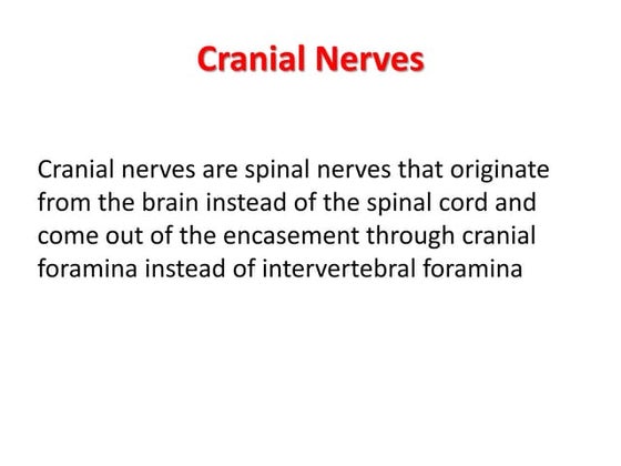 12. Cranial nerves.ppt and anatomy location | PPT