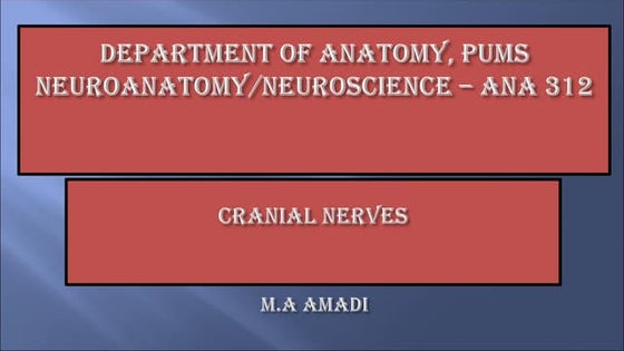 Anatomy viva questions and one liners with answers Question bank. | DOCX