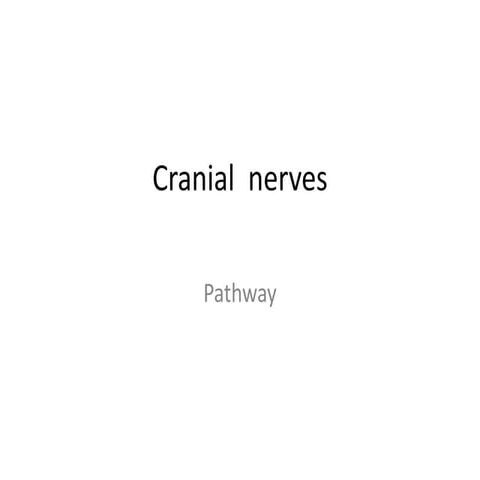 Cranial nerves pathways PDF with everything explained | PPT