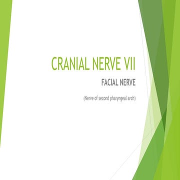 Cranial Nerve VII | PPTX