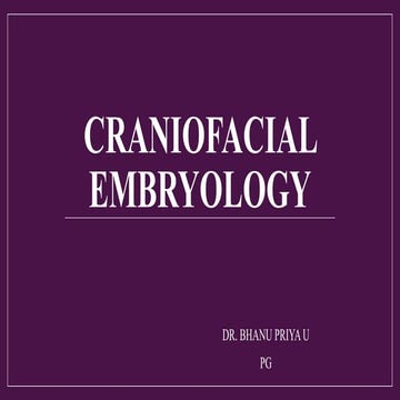 Craniofacial Embryology Ppt