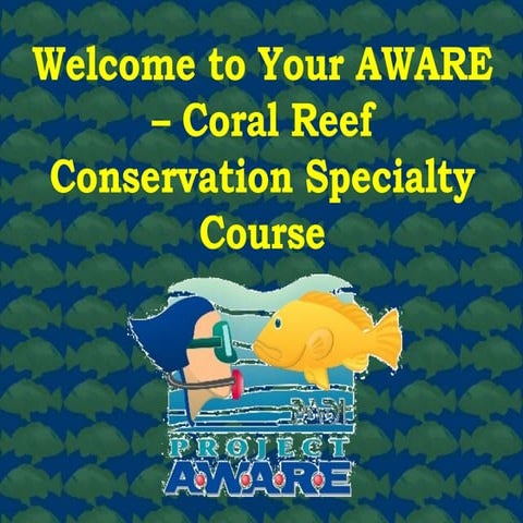 Project AWARE Coral Reef Conservation | PPS