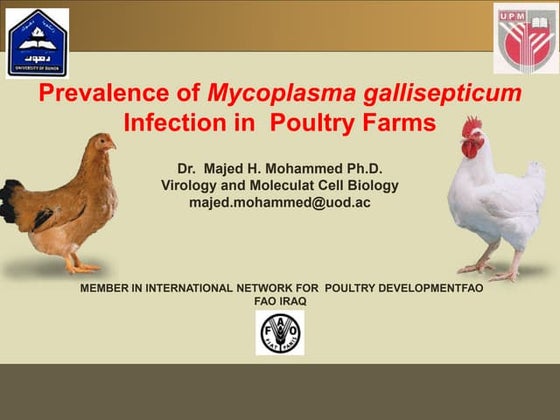 poultry disease | PPT