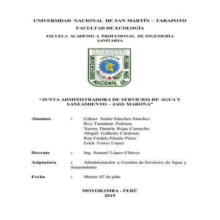 Creación De La Jass Simulación Pdf
