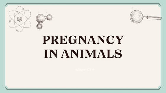 Science 5 5.1 Animals That Are Born Alive.pptx | Pregnancy ...